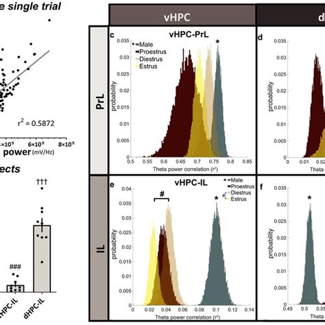 Hippocampal‐prefrontal Theta Band Power Correlations Differ By Sex And