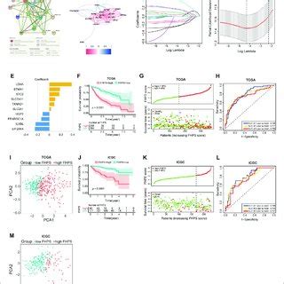 A B The PPI And Correlation Network Suggesting The Relationship Download Scientific
