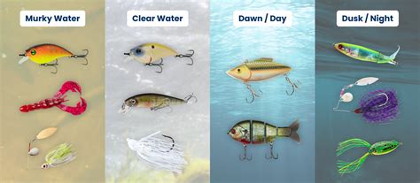 Best Bass Lures And Baits To Catch Hawgs In Every Season Academy