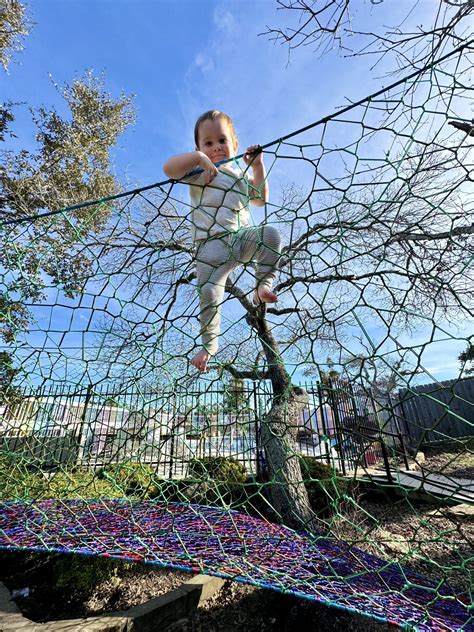 Treenet Wizards Portfolio Central Texas Treenet Wizards