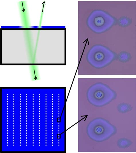 Top Left Cross‐section Of A 11‐mm Glassito Substrate Coated With The Download Scientific
