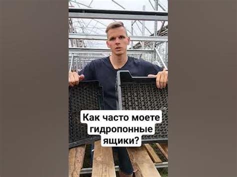 Гидропонные ящики. Как часто мыть? #гидропоника #гидропонныйлоток - YouTube