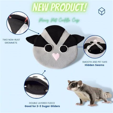 Sugar Glider In Bonding Pouch