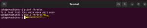 How To Kill Processes In Ubuntu LinuxWays