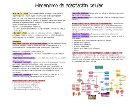 Fisiopatología Mecanismos de adaptación Celular 2 ...