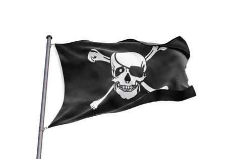 Chopper Jolly Roger One Piece Pirate Flag Sons Of Pirate