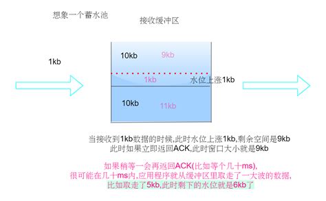 网络原理 传输层Ⅳ Tcp协议中的延迟应答、捎带应答、面向字节流、tcp中的异常处理tcp延迟应答 Csdn博客