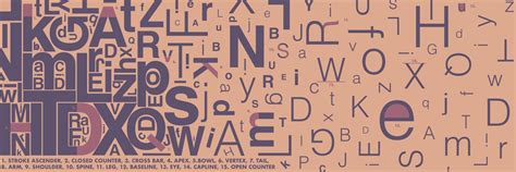 dense to sparse type progression allison mcdermott