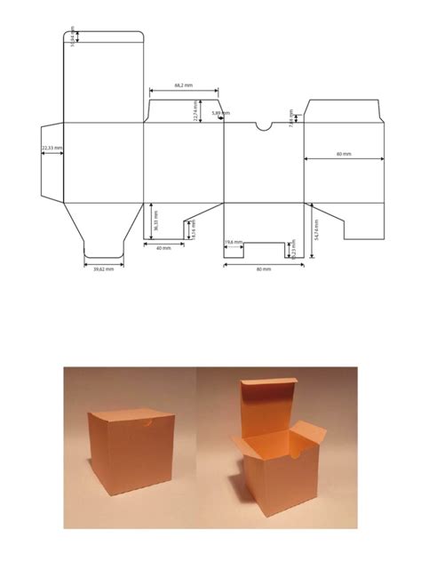 Empaque Primario Pdf
