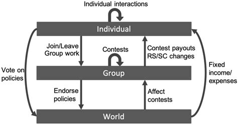 access is a multi level model including interactions within and between