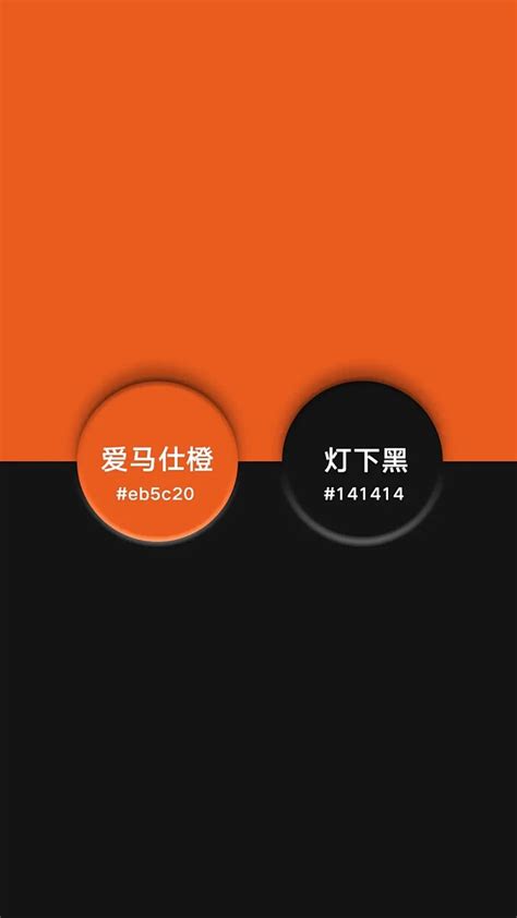 你绝对没见过的超高级国际色碰撞。 高级配色 色彩搭配 美 抖音