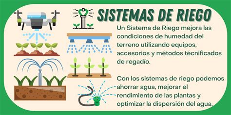 Tipos De Metodos De Riego