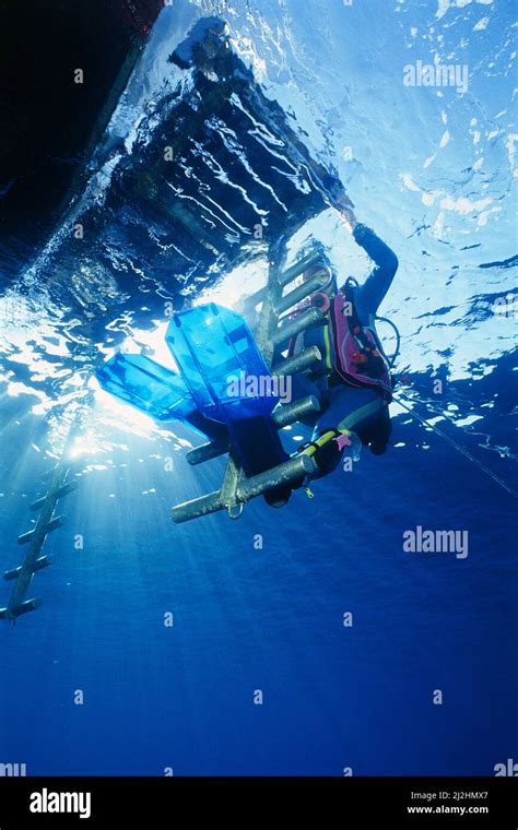 Taucher Am Boot Ledder Eines Tauchbootes Hurghada Ägypten Rotes Meer Stockfotografie Alamy