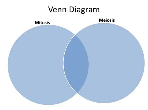 Understanding The Differences Meiosis Vs Mitosis Venn Diagram
