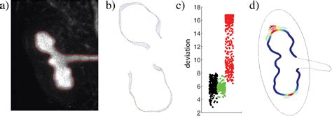 Figure 4 From Simulating Organogenesis In Comsol Parameter