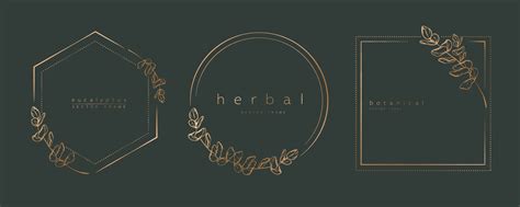 Botanical Eucalyptus Circle Frame Set Hand Drawn Round Line Border