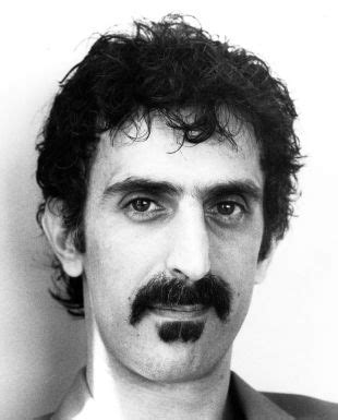Frank Zappa Moustache