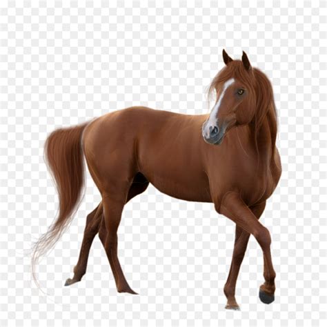 Caballo Png Flyclipart