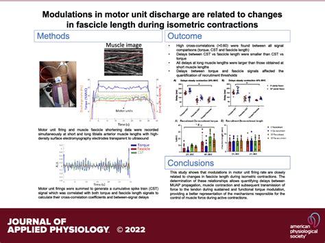 Isometric Contraction