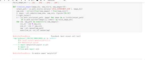 About The Inference Issue Tao Toolkit Nvidia Developer Forums