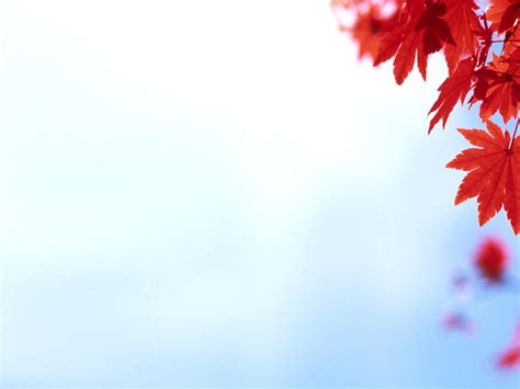 Фон для пауэр поинт фото и картинки Abrakadabra Fun