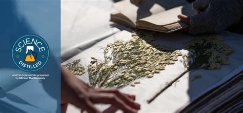 Science Distilled Art Meets Science The Discovery