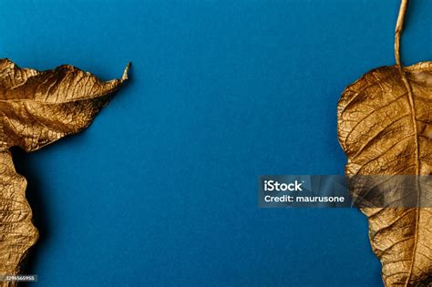 파란색 종이 카드 노트와 황금 잎으로 만든 창조적 인 레이아웃 파란색 배경에 황금 잎 0명에 대한 스톡 사진 및 기타 이미지