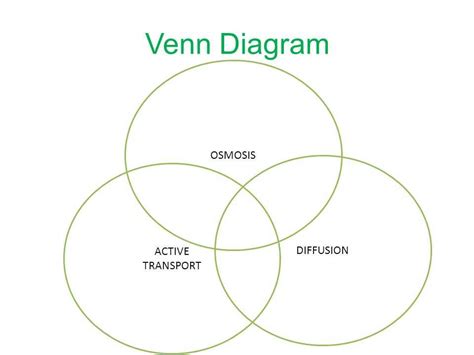 Understanding The Difference Between Osmosis And Diffusion A Venn Diagram