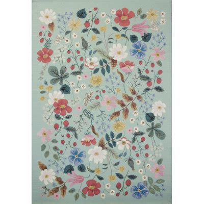 Rifle Paper Co X Loloi Outdoor Rugs Youll Love Wayfair