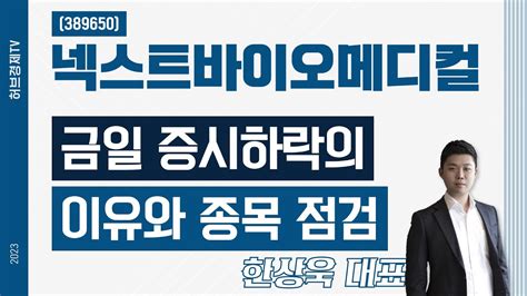 넥스트바이오메디컬389650 금일 증시 하락의 이유와 종목 점검 Youtube