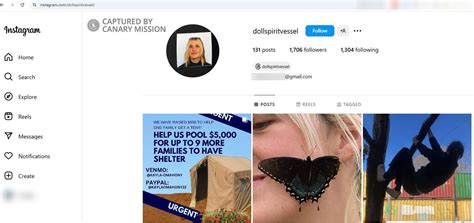 Kati Malison Canary Mission