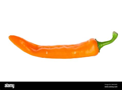 Fresh Tasty Pepper Orange Hot Pepper Isolated On White Background