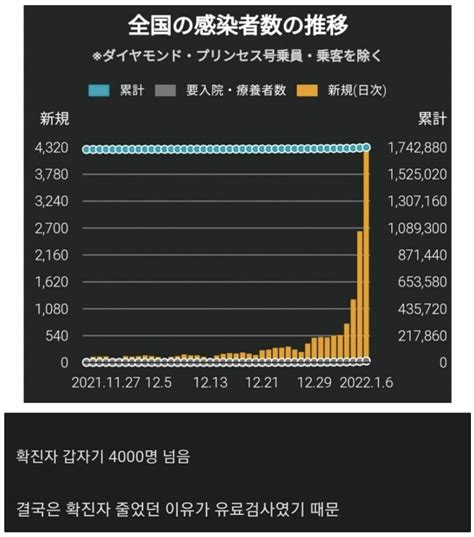 코로나 확진자수 급감의 미스테리