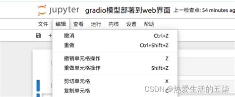 jupyter notebook不小心删除 剪切了单元格ctrl z无法撤回怎么办，如何反撤回（就是重做） jupyter 如何撤回删除 csdn博客