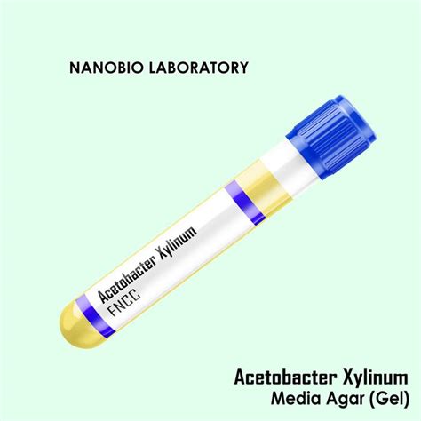 Jual Starter Acetobacter Xylinum 1 Liter Nata De Coco Media Gel