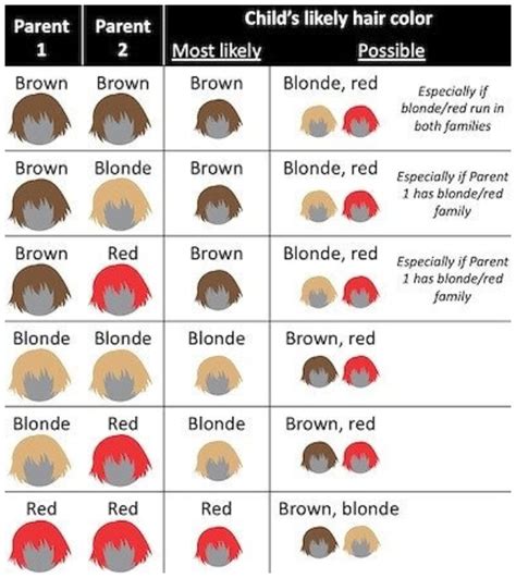 These Useful Charts Will Change Everything You Know About The World Worldtravelling