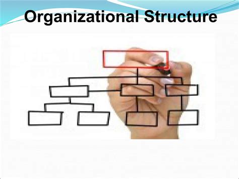 CHAPTER ORGANIZING Ppt