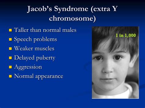 Ppt Karyotype Curiosities Powerpoint Presentation Free Download Id