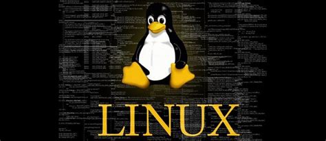 Linux Basics For The Aspiring Hacker Version 50 Installing New