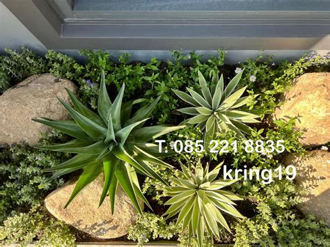 รับจัดสวน ร้านสองพี่น้อง ปูหญ้าปลูกต้นไม้ สวนหิน ปูแผ่นทางเดิน จัดสวนหย่อม รับจัดสวน ร้าน