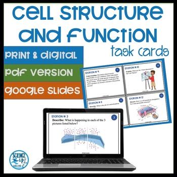 Cell Structure Function Task Cards Review Activity Print Digital Versions