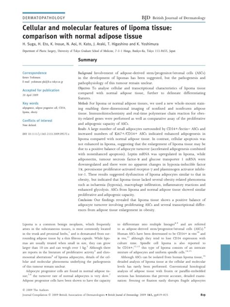 Cellular Features Of Lipoma Tissue Analysis Pdf Adipocyte Adipose