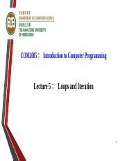 Understanding Loops and Iteration in Computer Programming | Course Hero