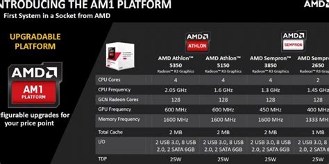 Amds Socketed Athlon Kabini Am Chips Priced Pictured Unveiled Kitguru