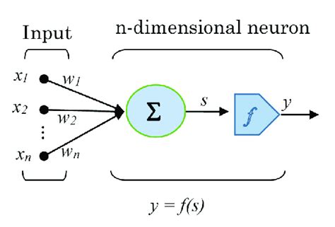 Form Of The Non Linear N Dimensional Neuron Model Haykin 13 Download Scientific Diagram