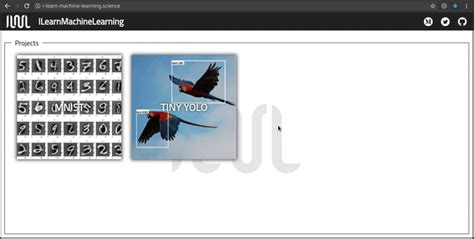 In Browser Object Detection Using YOLO And TensorFlow Js DEV Community