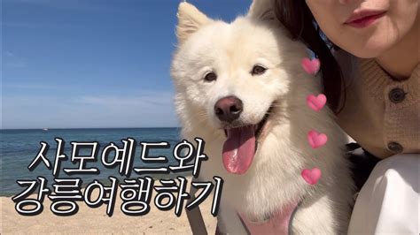 달곰 바다에 가다 Youtube