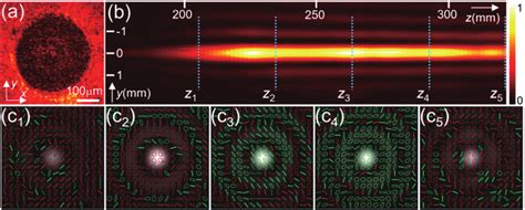 Color Online Measured Reconstruction Of Zeroth Order Vector Bessel Download Scientific