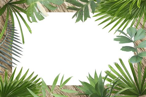 Leaf Frame Background Png