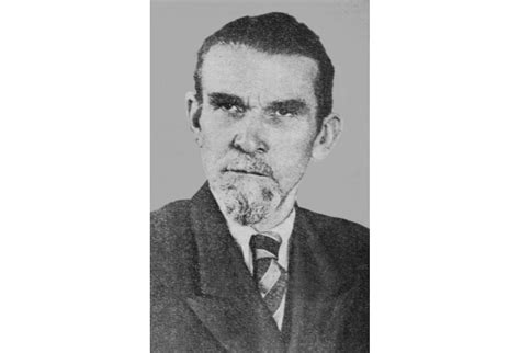 Antoni Bolesław Dobrowolski Visuotinė Lietuvių Enciklopedija
